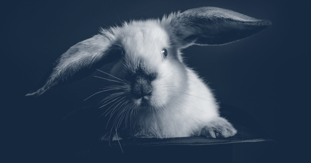 EXPERTISE | Inceptive